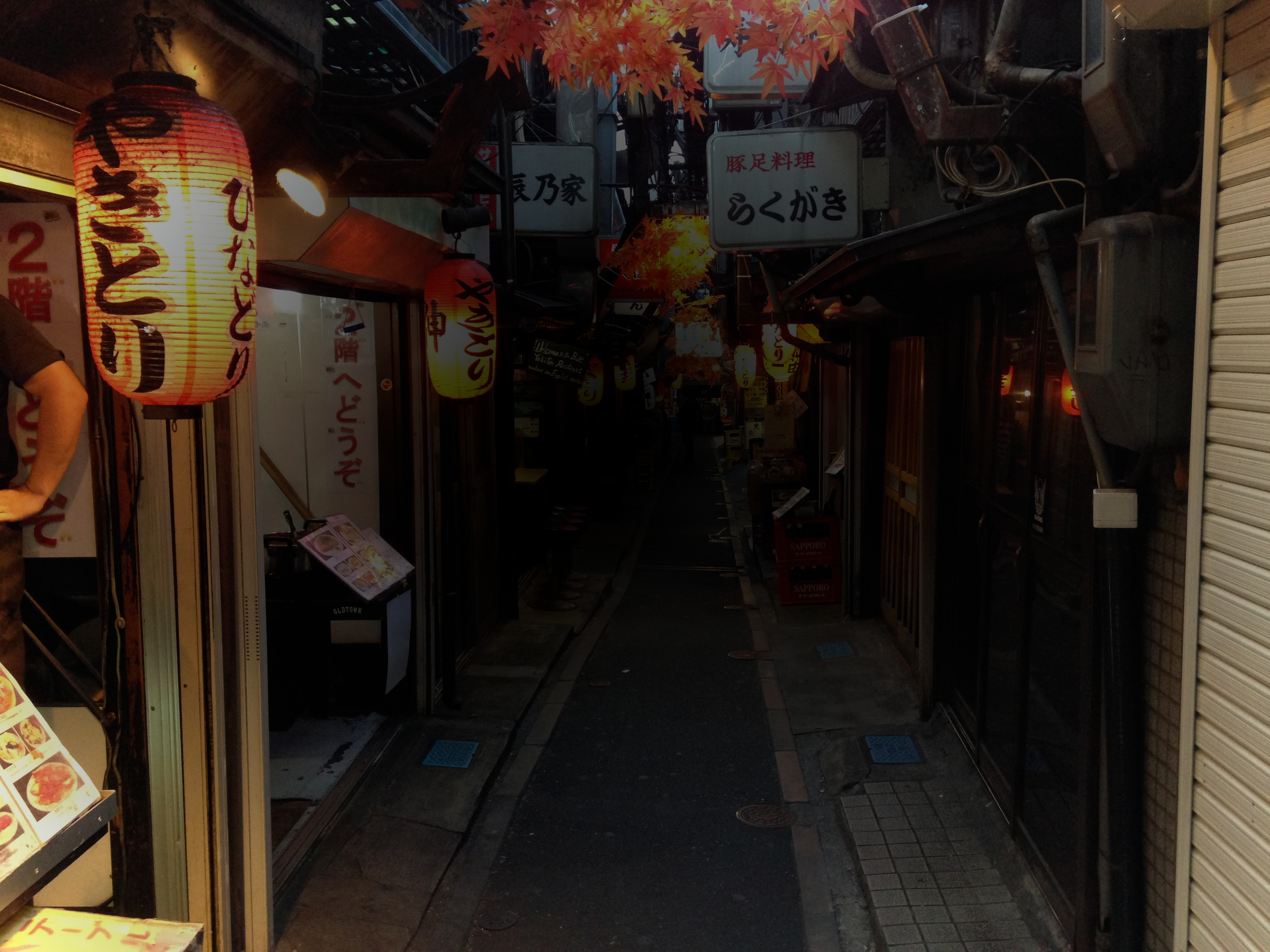 Tanuki - Japanese Street Food